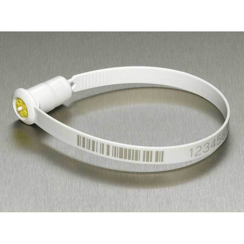 Fixed-length security seal with a closing mechanism