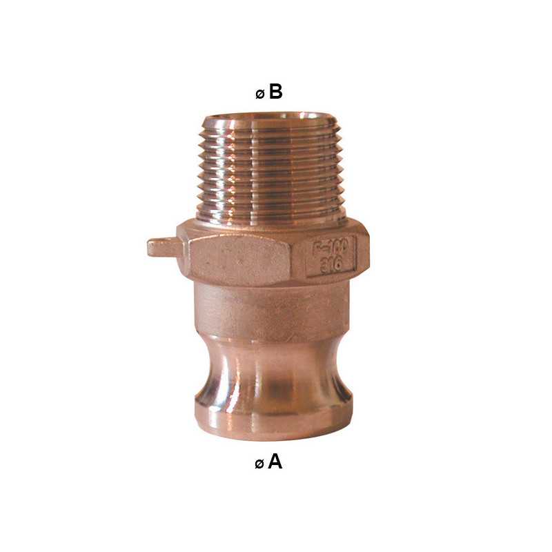Male camlock connection - brass male threaded tip - Type F