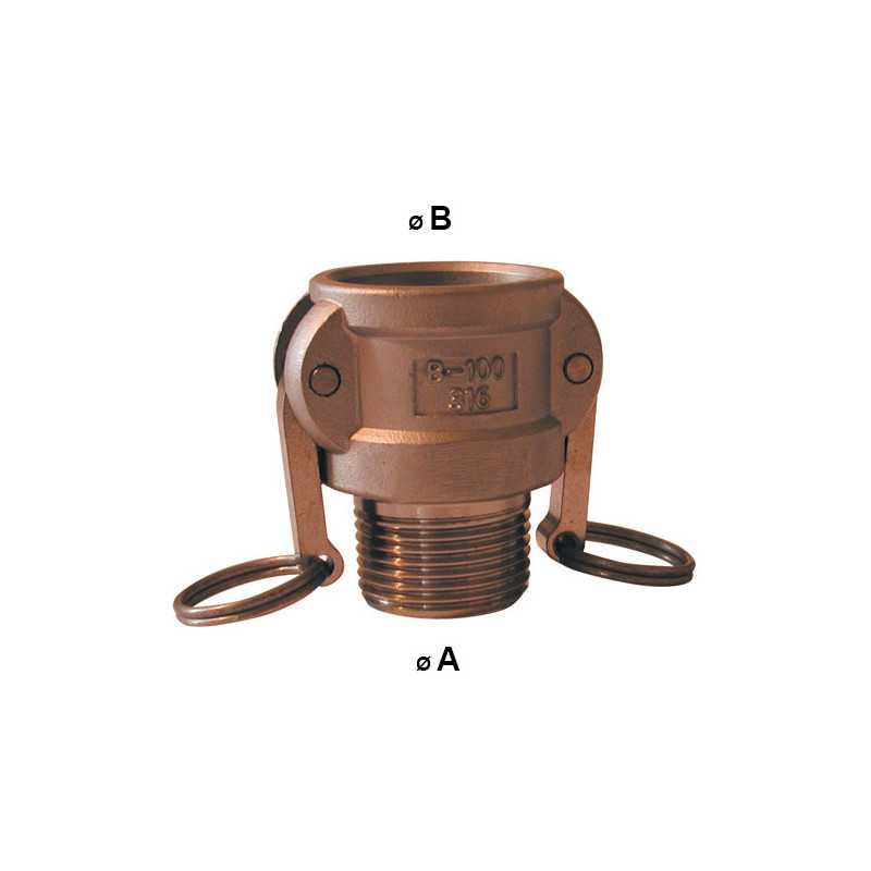 Female Camlock Connection - Brass male threaded tip - Type B