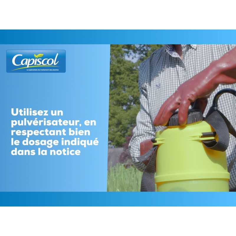 Solabiol BB20300 | Bordeaux mixture Case 300g | Biological Protection ...