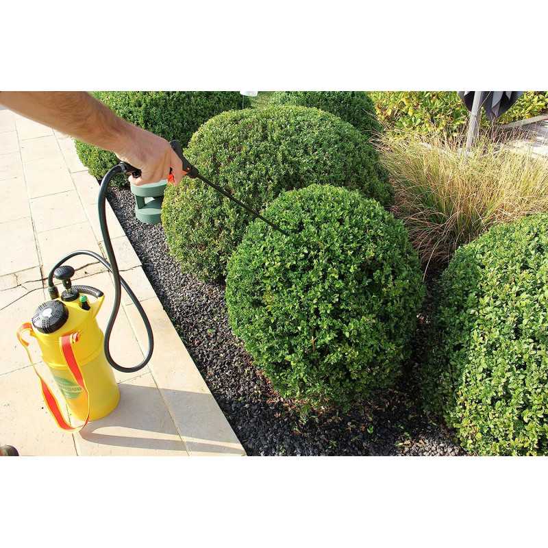 Solabiol boxwood moth | Biological insecticide Bacillus thuringiensis ...