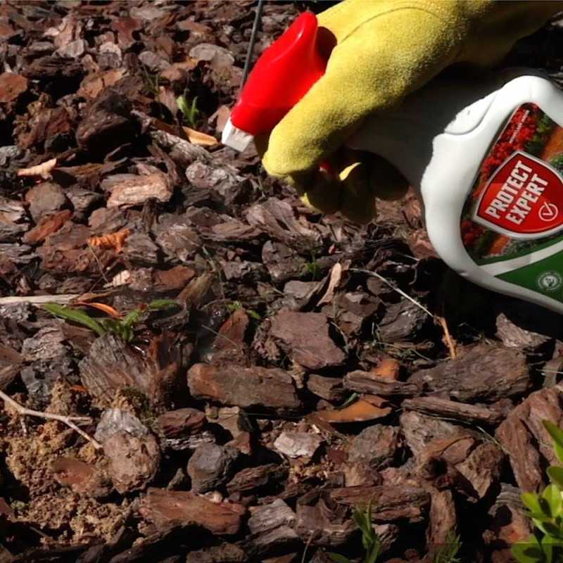 Protect Expert Multipurpose Weed Killer 750 ml - Eliminates Weeds and ...